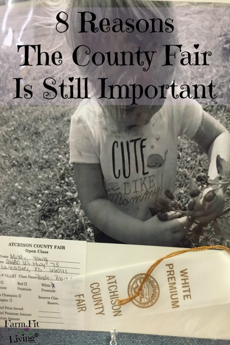 County Fair's Importance to Rural Communities Lives On