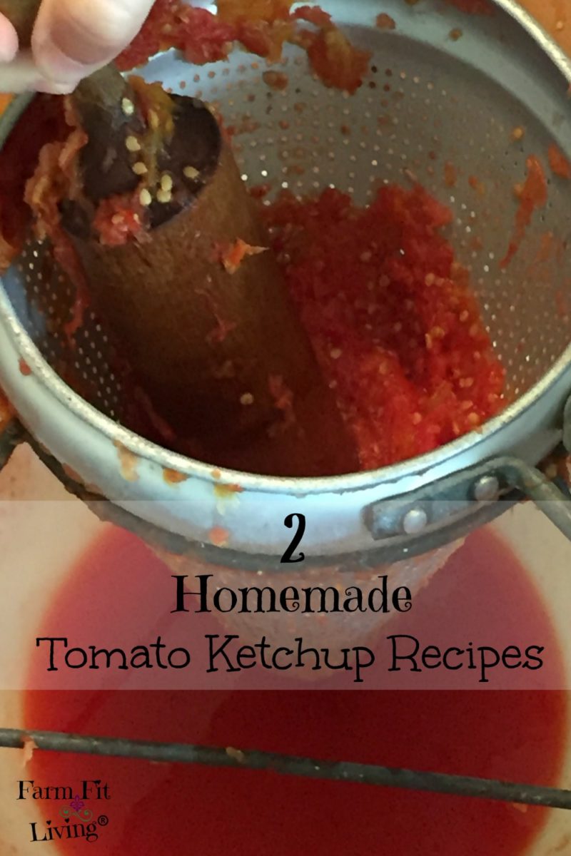 2 Homemade Tomato Ketchup Recipe to Make and Can | Farm Fit Living