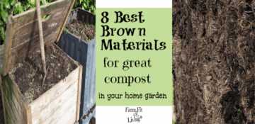 8 Best Brown Material for Great Compost for Your Home Garden