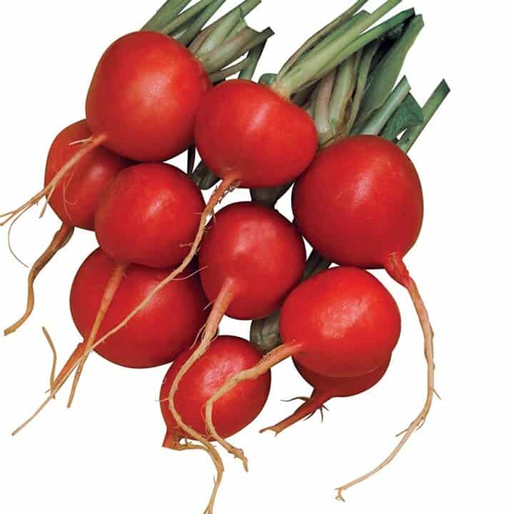 How to Grow Great Radishes In Your Home Garden - Farm Fit Living