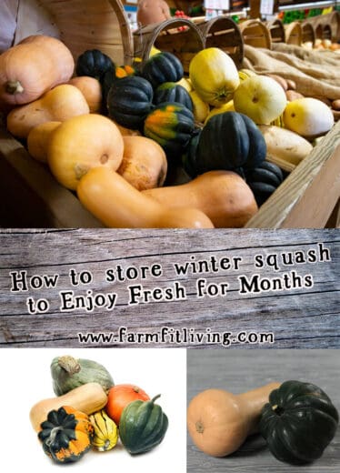 How to store winter squash to enjoy fresh for months - Farm Fit Living
