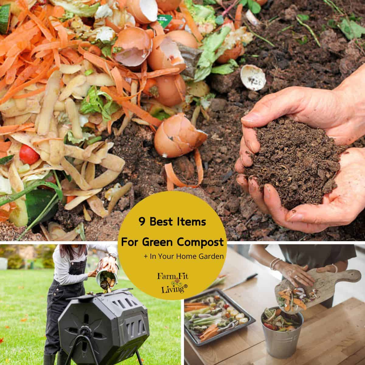 Best Materials For Composting Composting At Home | US EPA
