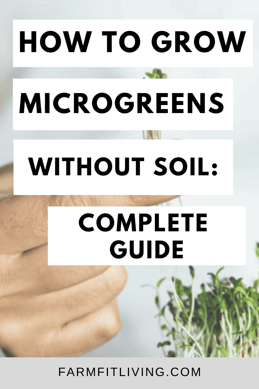 How to Grow Microgreens Without Soil: Complete Guide - Farm Fit Living